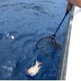 Cuda 29" Baitwell Replaceble Net, 5.5" Depth, Black, for Fishing, 1 ...