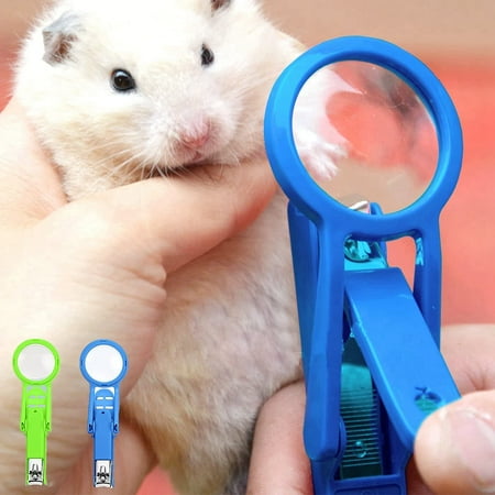 2 Pack Hamster Nail Clippers with Magnifying Glass Stainless Steel Claw ...