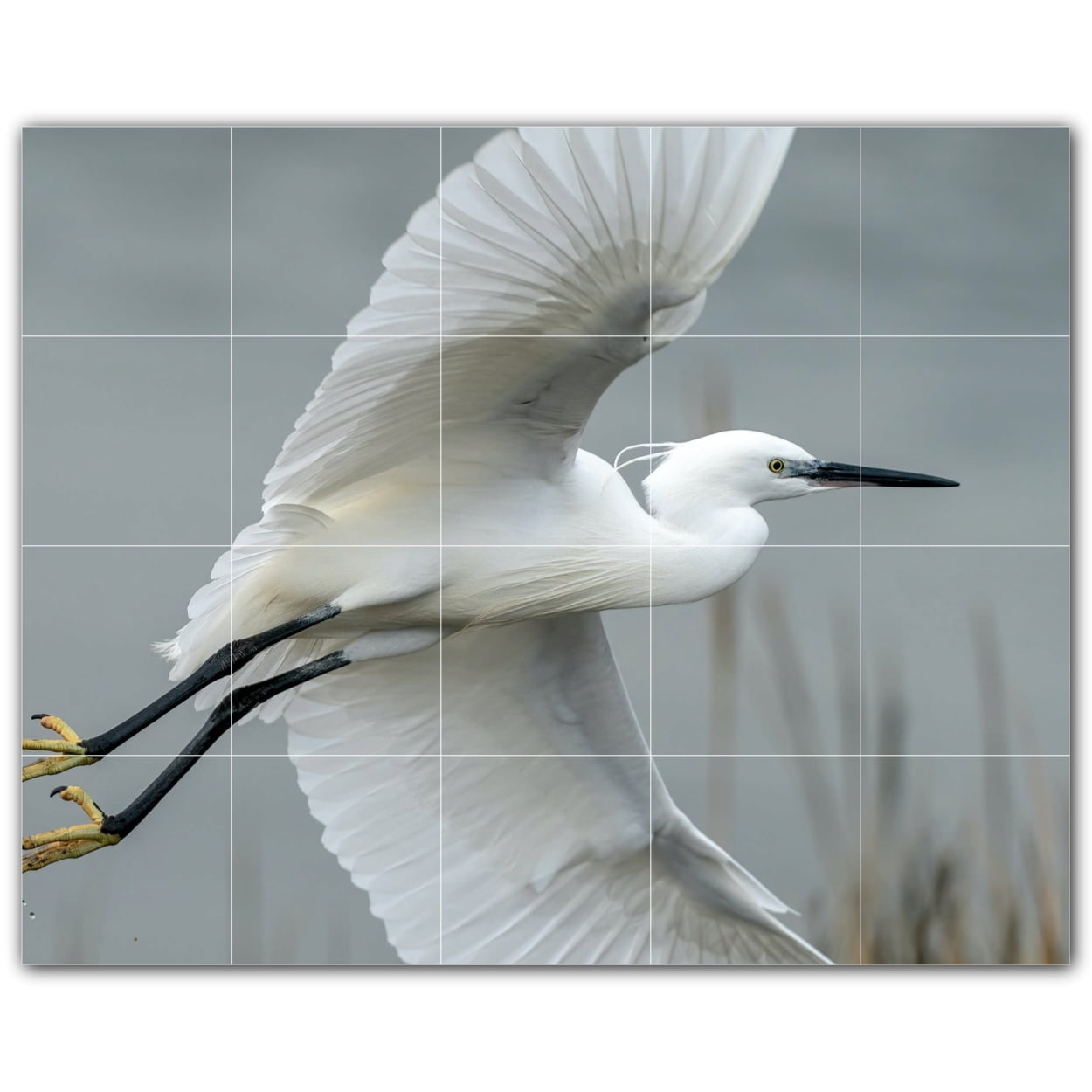 Picture-Tiles.com: Bird Ceramic Tile Wall Mural WAL500136-54XL. 60"W x ...