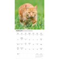 Carousel Calendars, Ginger Cats 2027 Wall Calendar - Walmart.com