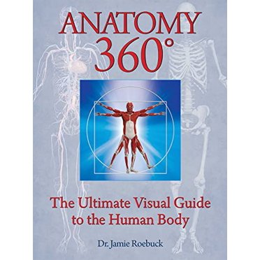 Anatomy: Delavier's Mixed Martial Arts Anatomy (Paperback) - Walmart.com