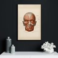 Anatomical Poster Anatomy Of Human Facial Muscles Posters Artworks ...