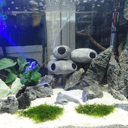 Cichlid Stone Cave Aquarium Fish Tank Pond Ornament Decoration Shrimp ...