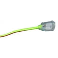 Coleman Cable 12/3 Neon Outdoor Extension Cord, Green/Red, 100-Feet ...