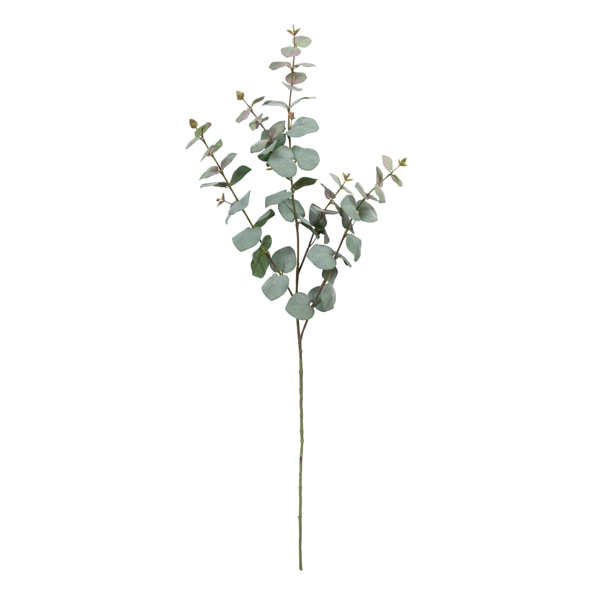 Click here for Mainstays Artificial Eucalyptus Long Stem prices
