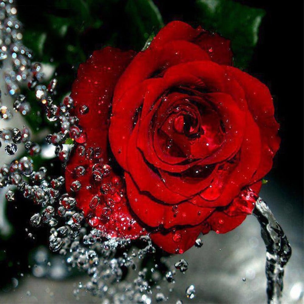 Click here for Pepisky Diy 5d Diamond Painting Red Rose Rhineston... prices