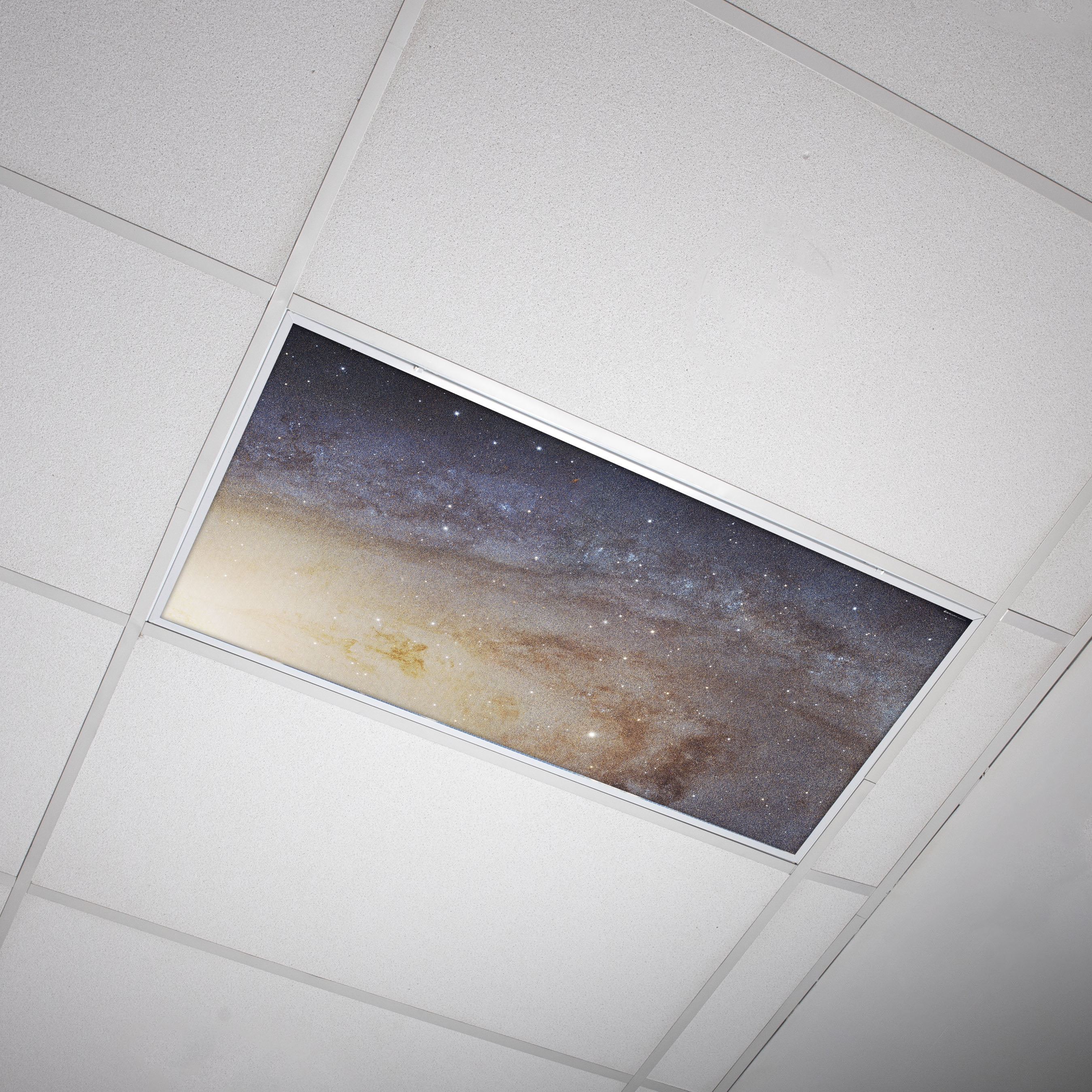 Octo Lights - Fluorescent Light Covers - 2x4 Flexible Ceiling Light ...