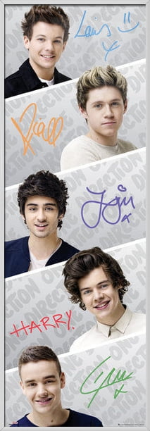 One Direction - 1D - Framed Music Door Poster / Print (Faces & Names ...