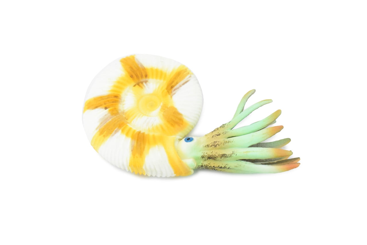 Ammonite Prehistoric Marine Animal, Ocean Fossil Museum Quality, Rubber ...