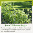 Tomato Towers Set of 2 - Walmart.com