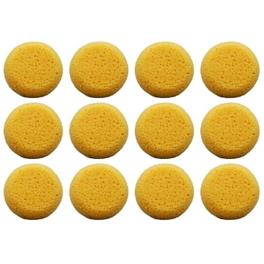 Armaly ProPlus Drywall Finishing Sponge - Walmart.com