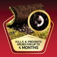 Scotts GrubEx Grub Killer, Season Long Lawn Treatment, Granular ...