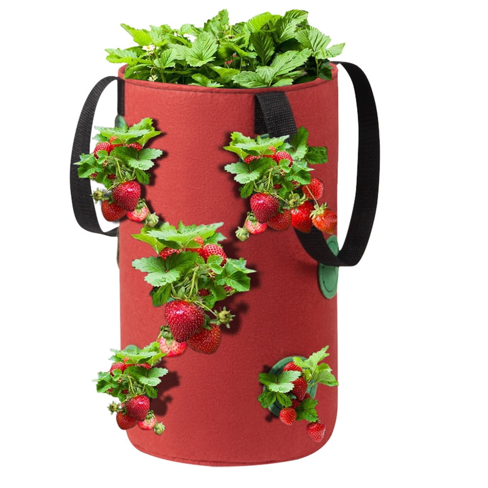 DYstyle Hanging Strawberry Planting Grow Bags With Handles Thicken ...