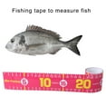 Fish Ruler Decals Fish Measuring Tape Sticker Self-Adhesive Measuring ...