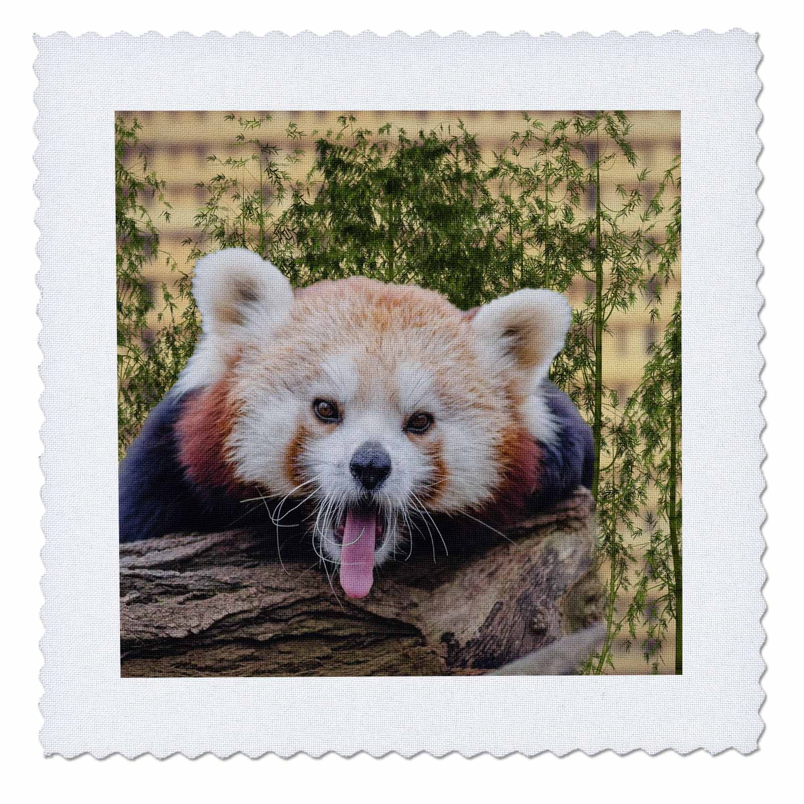 An Cute and Fluffy Red Panda Sticking Out Its Tongue 6x6 inch quilt ...