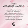 Pacifica Vegan Collagen Overnight Recovery Cream 1.7 Oz - Walmart.com