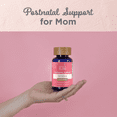 Mommys Bliss Postnatal Lactation Support Probiotics Breastfeeding