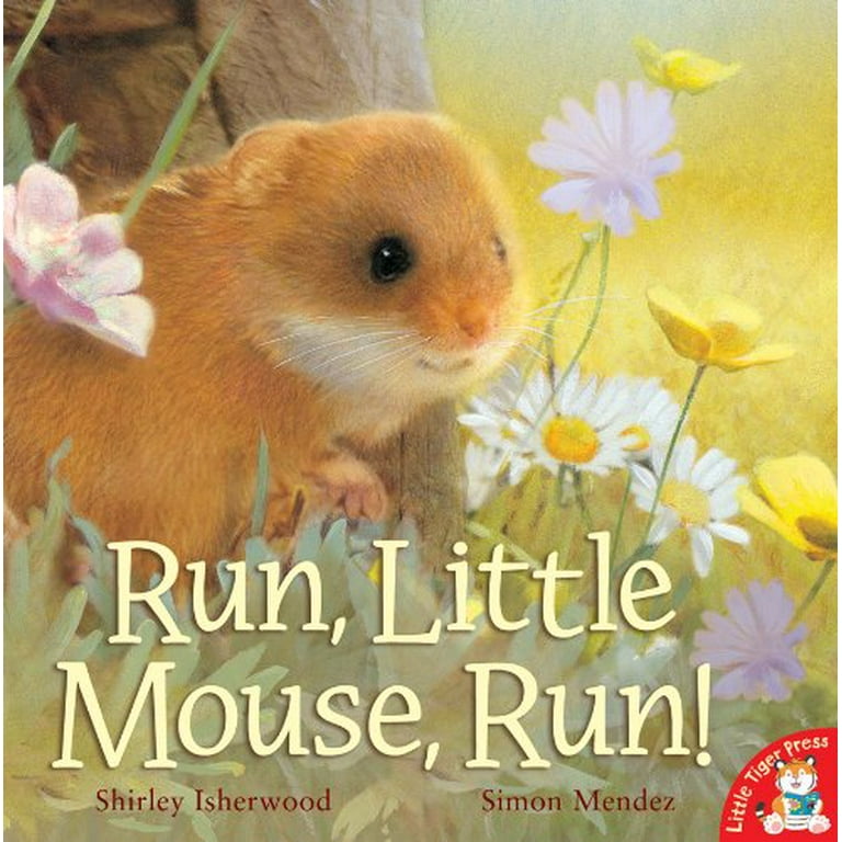 Field Mouse Running