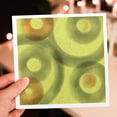 3drose, Image of Smudge Painting of Olive and Orange Circles, 6 ...