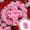 HOMBOTI Valentines Roses Flower Soap Roses Flower in Gift Box for ...