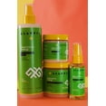 Alaffia Beautiful Curls Curl Reviving Tonic for All Curl Types, with ...
