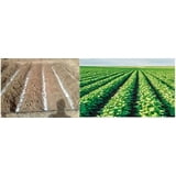 Water Retention Polymer for Grass and Gardens 45 Pounds - Walmart.com
