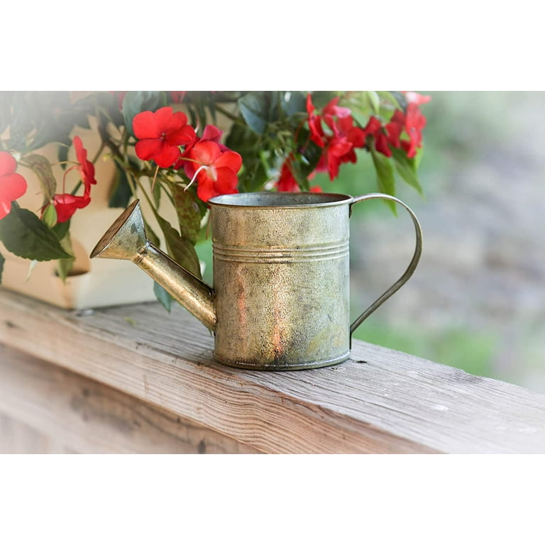 Antique Watering Can