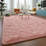 Softlife Super Soft Rug For Living Room Fluffy Rugs For Dorm Room Cute ...