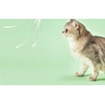 Instachew Cat Bingo Stick Toy, White - Walmart.com