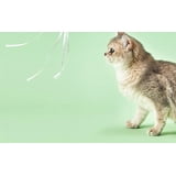 Instachew Cat Bingo Stick Toy, White - Walmart.com