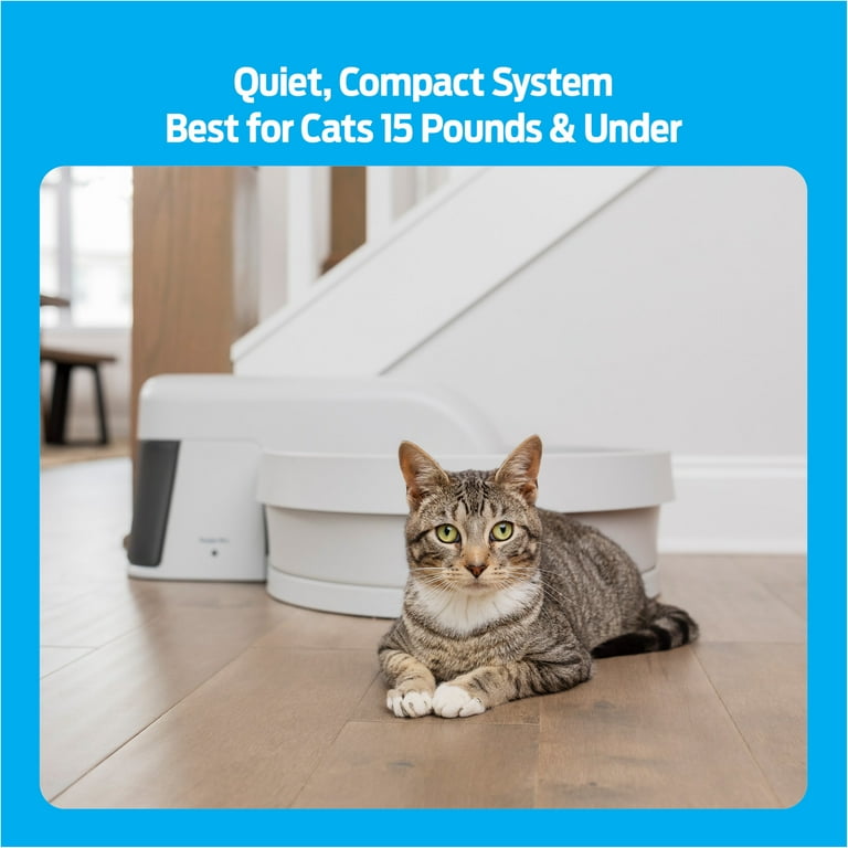 Best Rated Automatic Litter Box