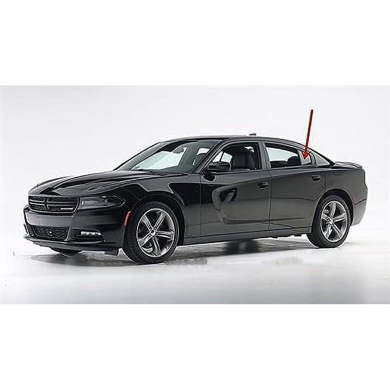 Side View Dodge Charger Grill