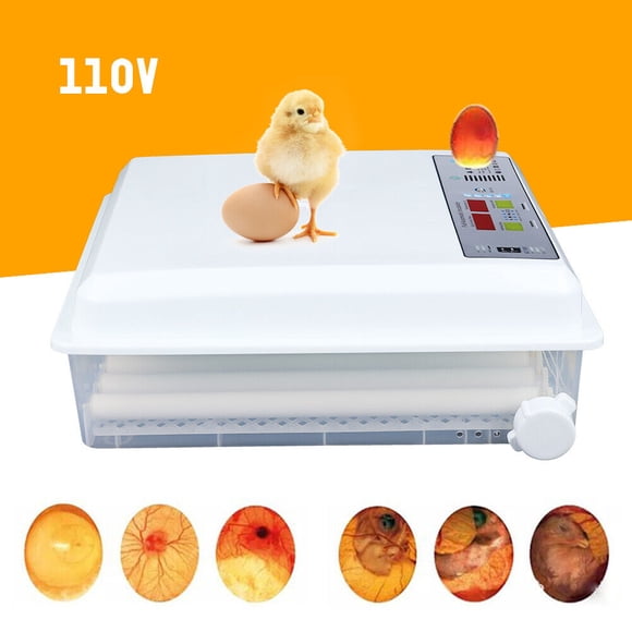 Humidity Incubator Chicken Eggs