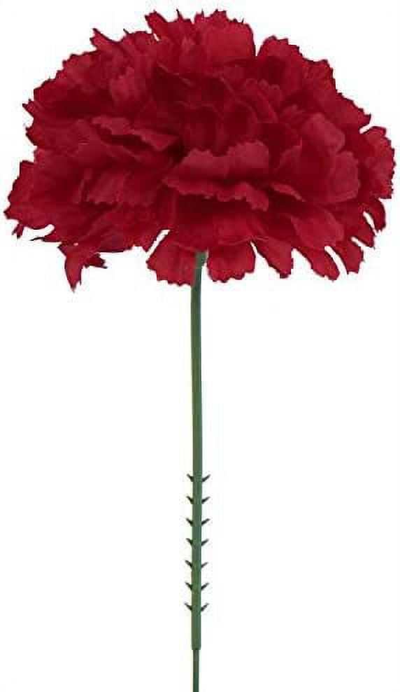 Carnations (Burgundy, 50) - Walmart.com