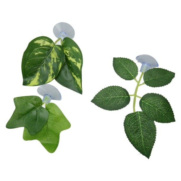 Betta Fish Leaf Pad,Betta Fish Leaf Pad Fish Resting Leaf Reptile Leaf ...