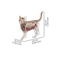 4D Animal Anatomy Model, Detachable Cat Dog Skeleton Organ Dissection ...