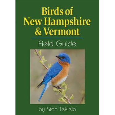 Bird Identification Guides Birds of Michigan Field Guide, (Paperback ...