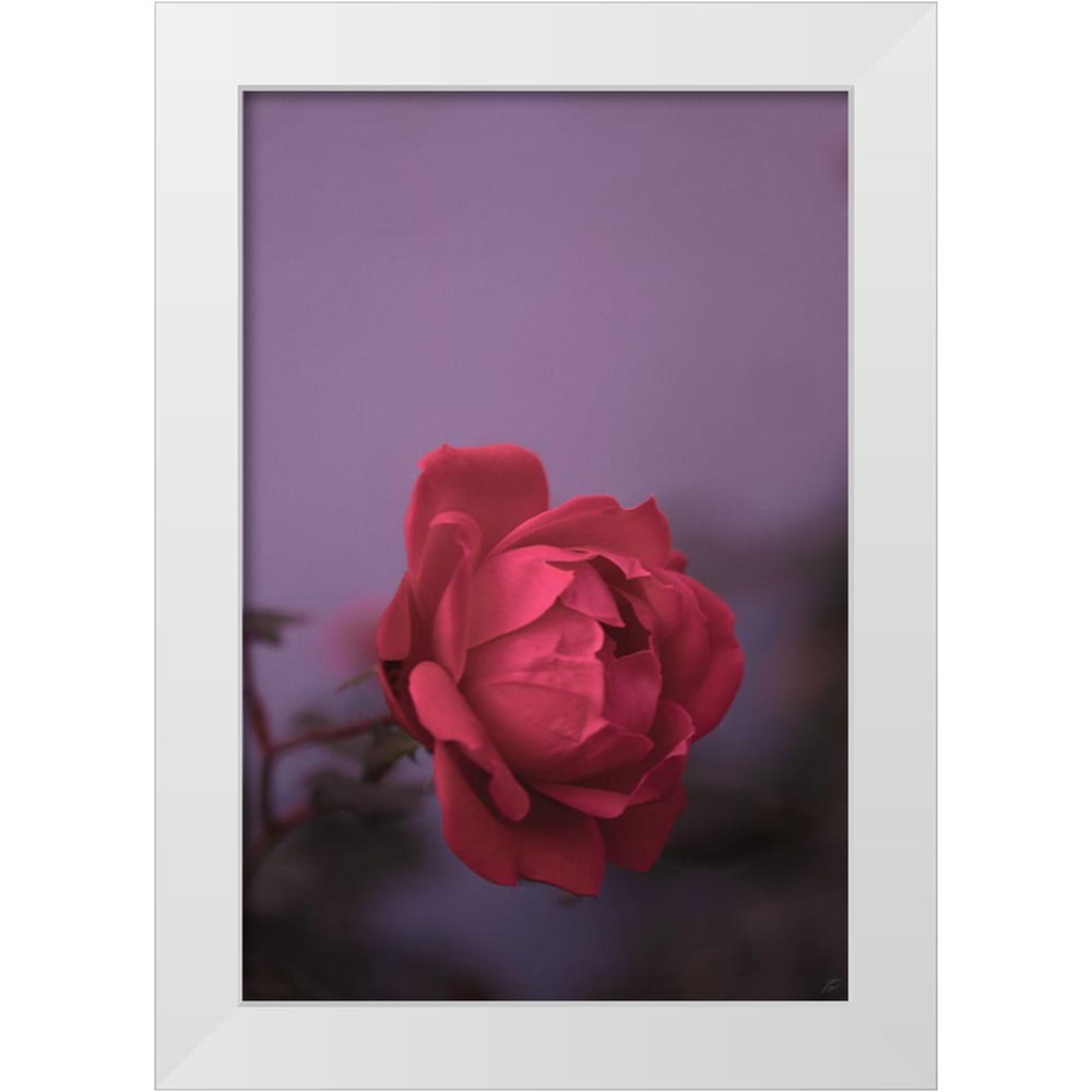 Lee, Judson 23x32 White Modern Wood Framed Museum Art Print Titled ...