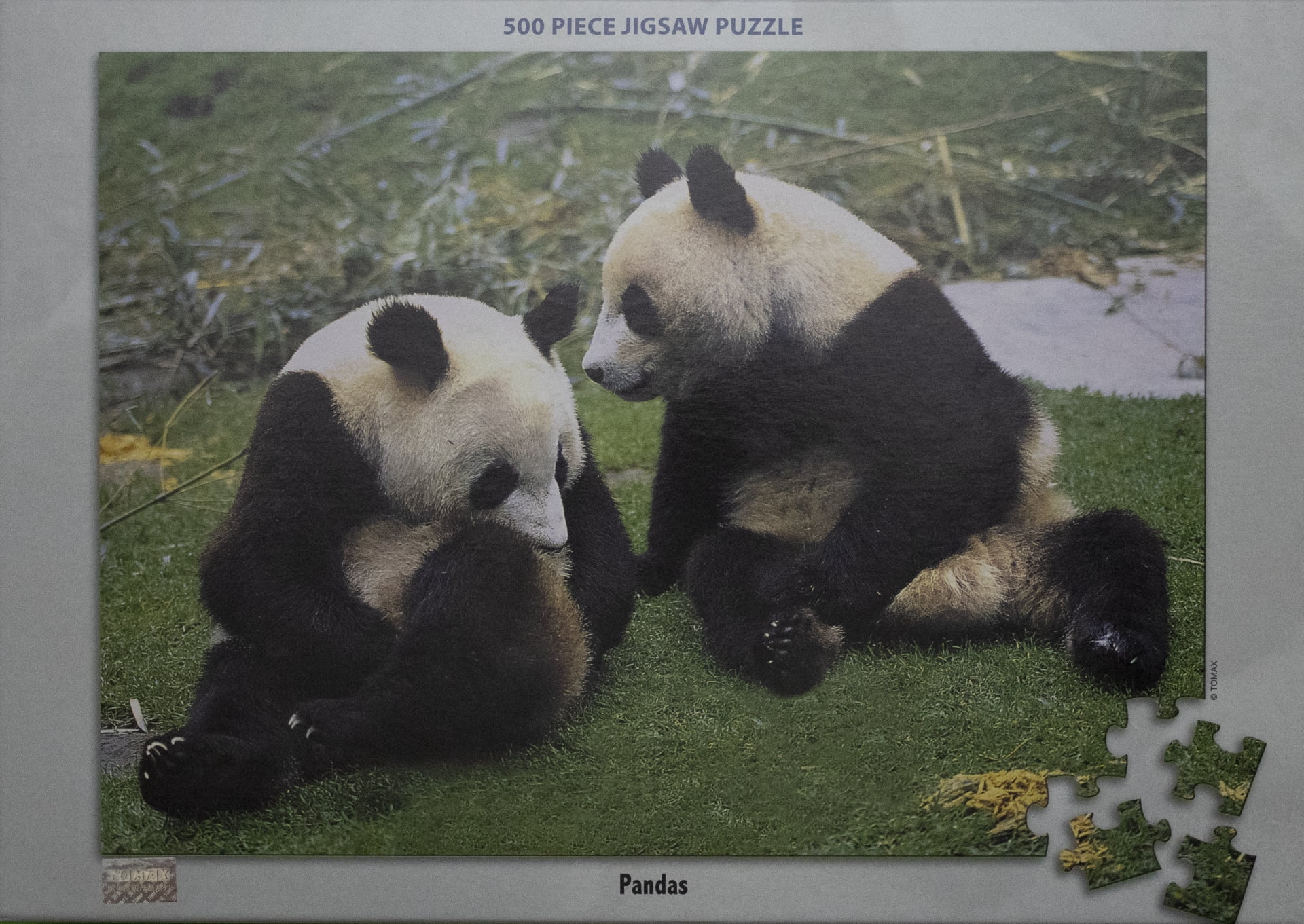 Tomax Jigsaw Puzzle - Pandas (500 Pieces) - Walmart.com