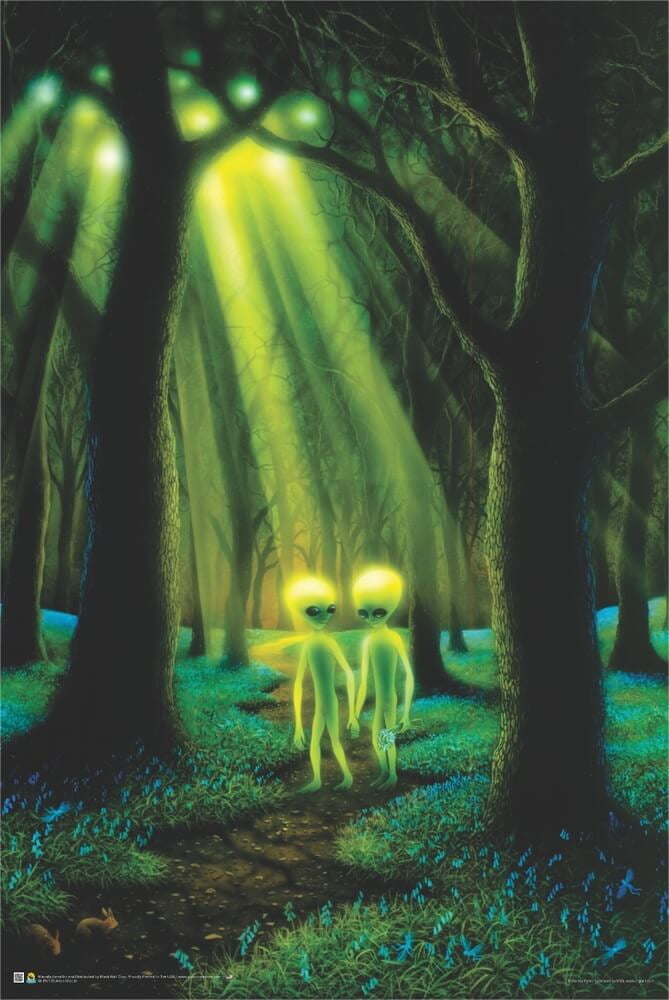 Alien Woods by Danny Flynn Non-Flocked Blacklight Poster 24" x 36 ...