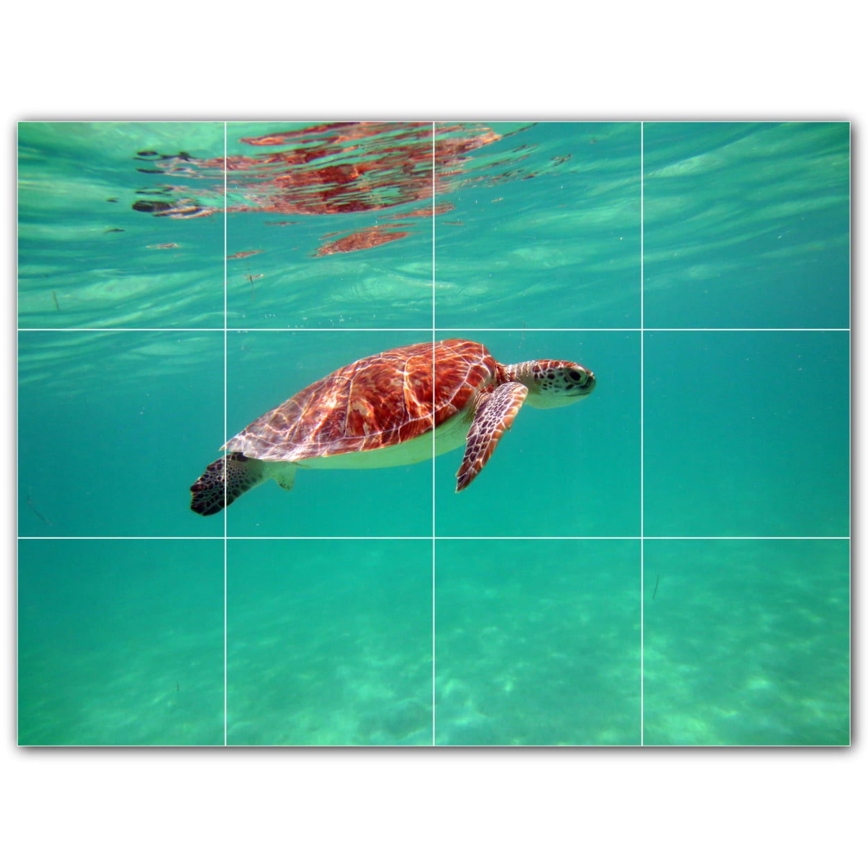 Picture-Tiles.com: Turtle Ceramic Tile Wall Mural WAL501061-43M. 24"W x ...