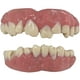 Zombie Teeth Adult Halloween Accessory - Walmart.com