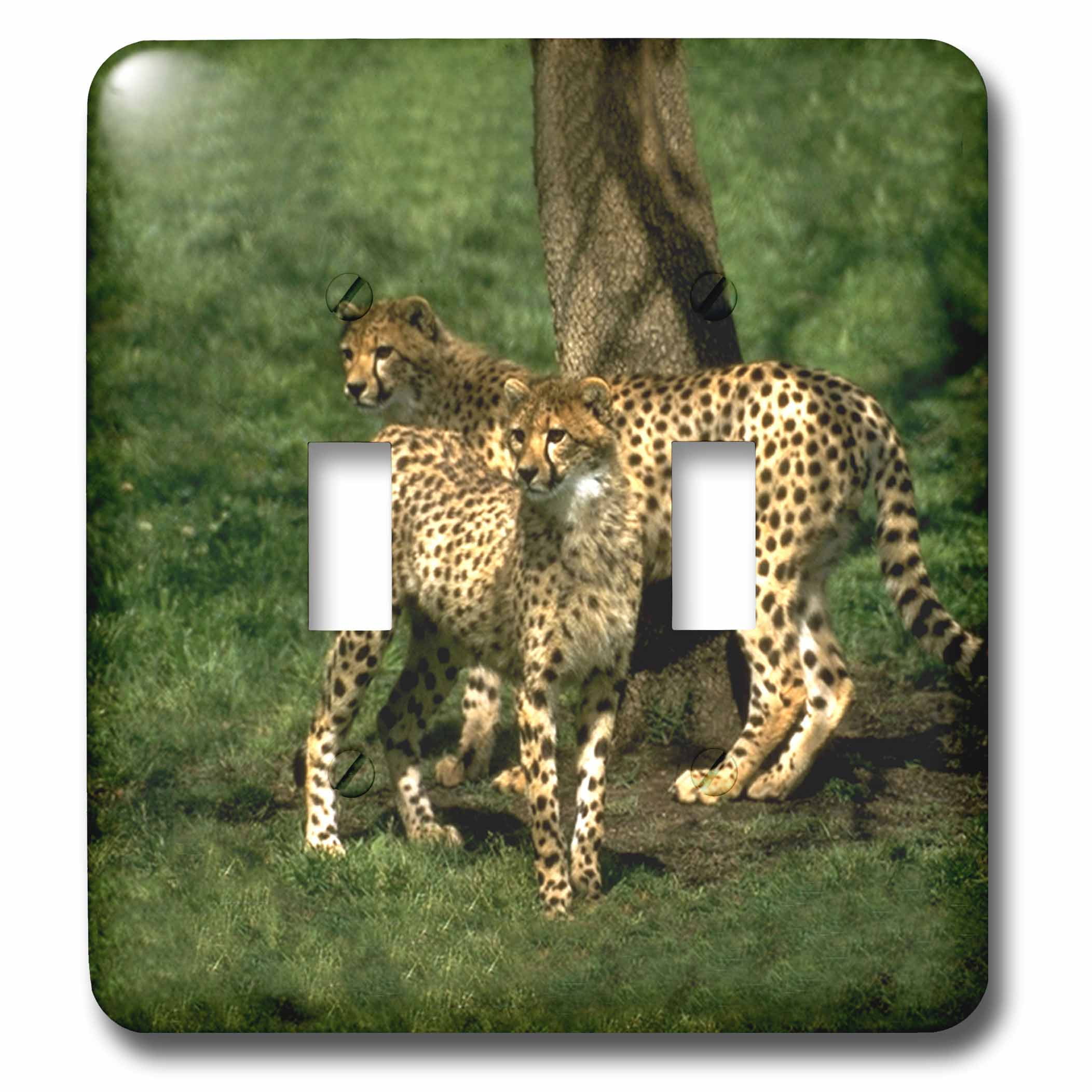 Cheetah double toggle switch lsp-643-2 - Walmart.com