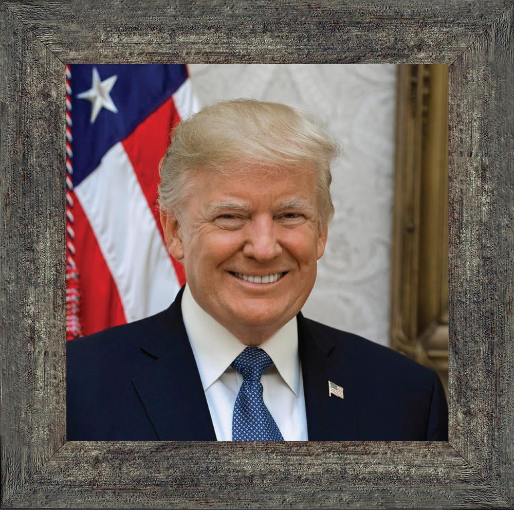 Donald Trump Official Framed Presidential Portrait, 110x10 8755 ...