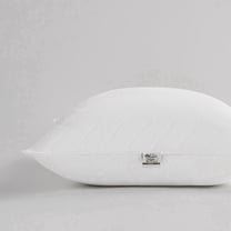 Sobel Westex: 2 Pack Sahara Nights Bed Pillow for Sleeping | Back ...