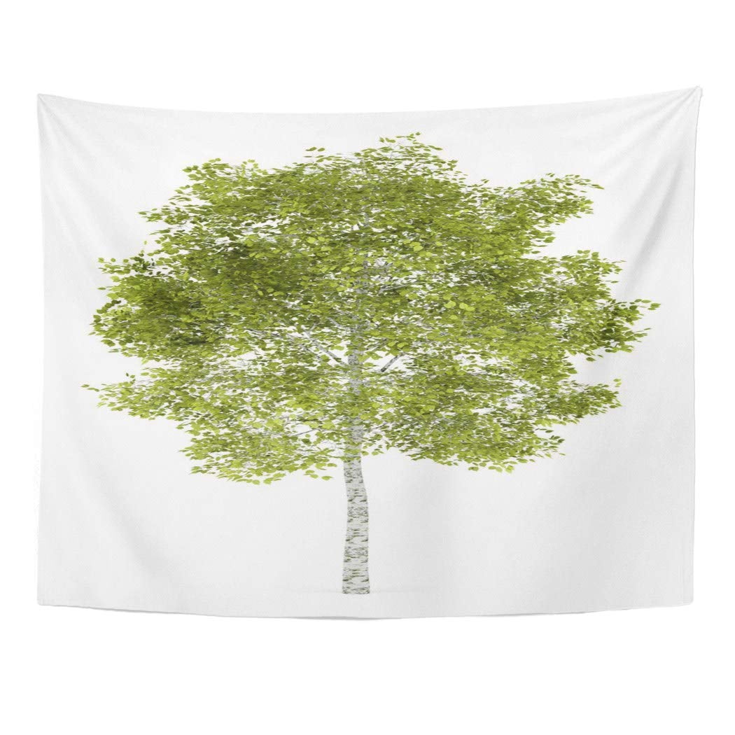 UFAEZU Green Cutout Birch Tree Betula Branch Bright Clipping Path Wall ...
