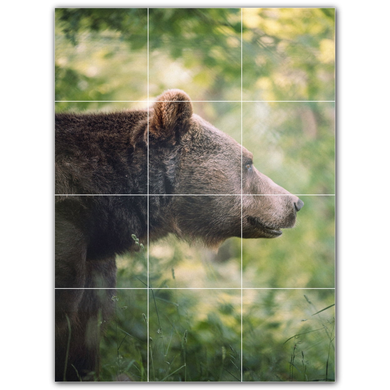 Picture-Tiles.com: Bear Ceramic Tile Wall Mural WAL500116-34M. 18"W x ...