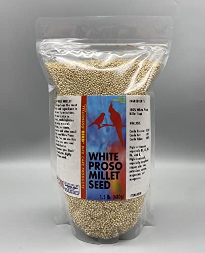 Morning Bird White Proso Millet Seed, Healthy Bird Food, Nutritious ...
