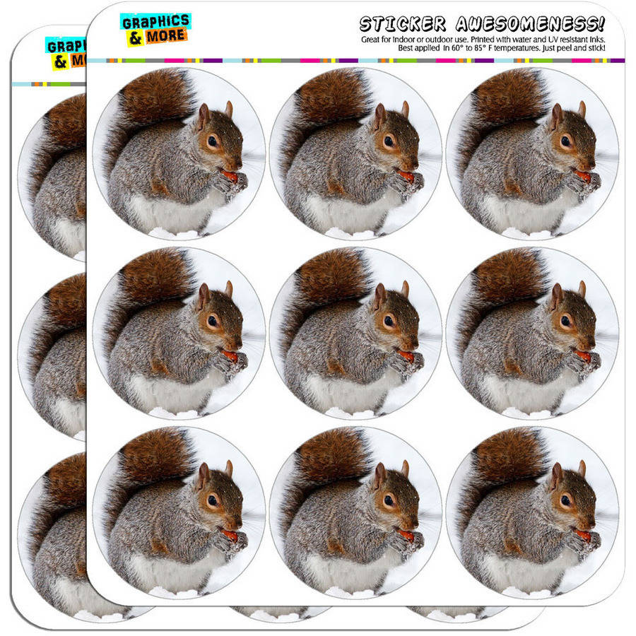 Squirrel Eating in Winter 18 2" Planner Calendar Scrapbooking Crafting ...