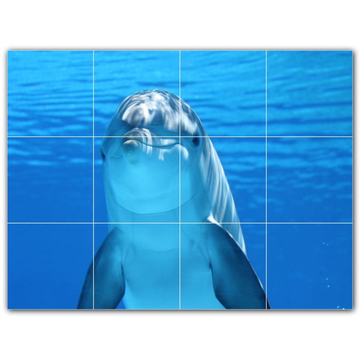 Picture-Tiles.com: Dolphin Ceramic Tile Wall Mural WAL500525-43S. 17"W ...